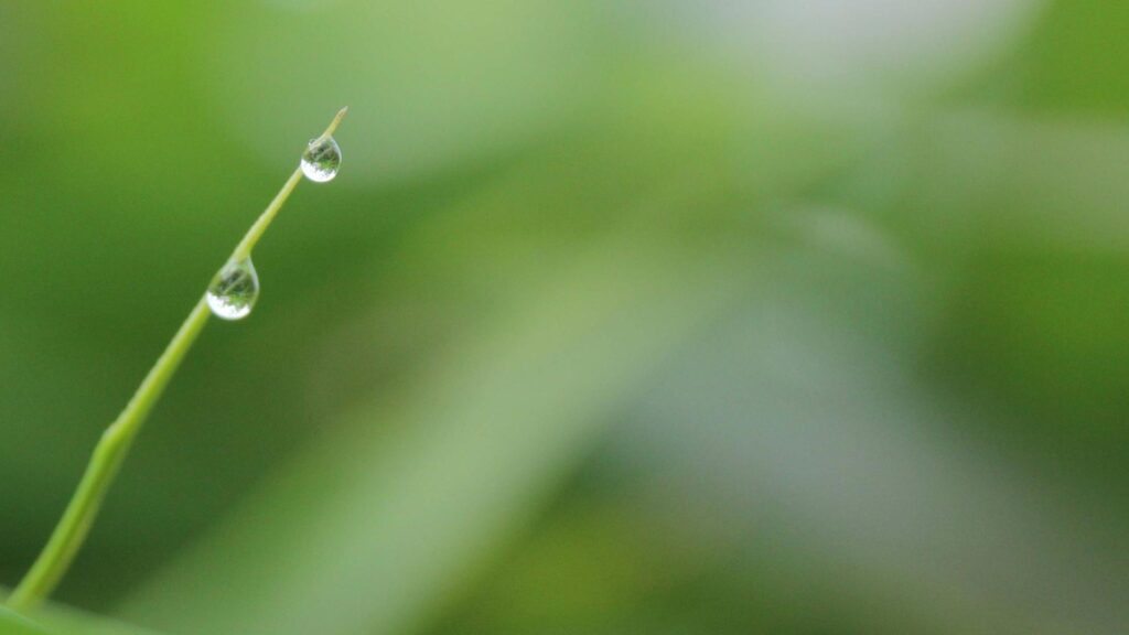 Over 170 Years of History|Enviri