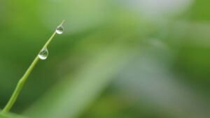 Over 170 Years of History|Enviri